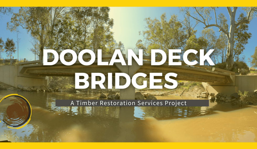 Rehab of The Doolan Deck Bridges | TRS Construction & Repair