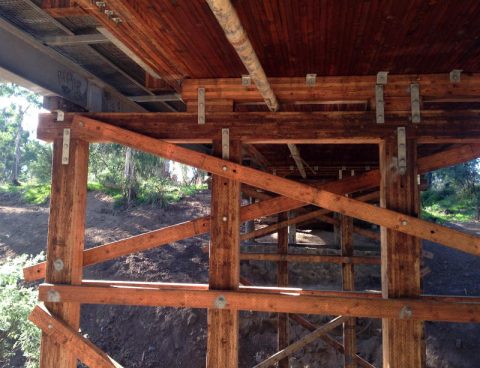 Our Services - Timber Restoration Services | AUS, CAN, USA